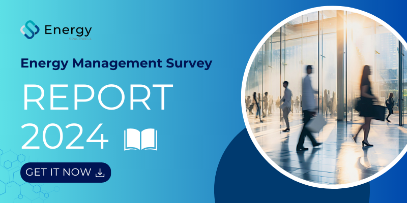 Results of the State of Energy Management Survey 2023 [Report 2024 ...